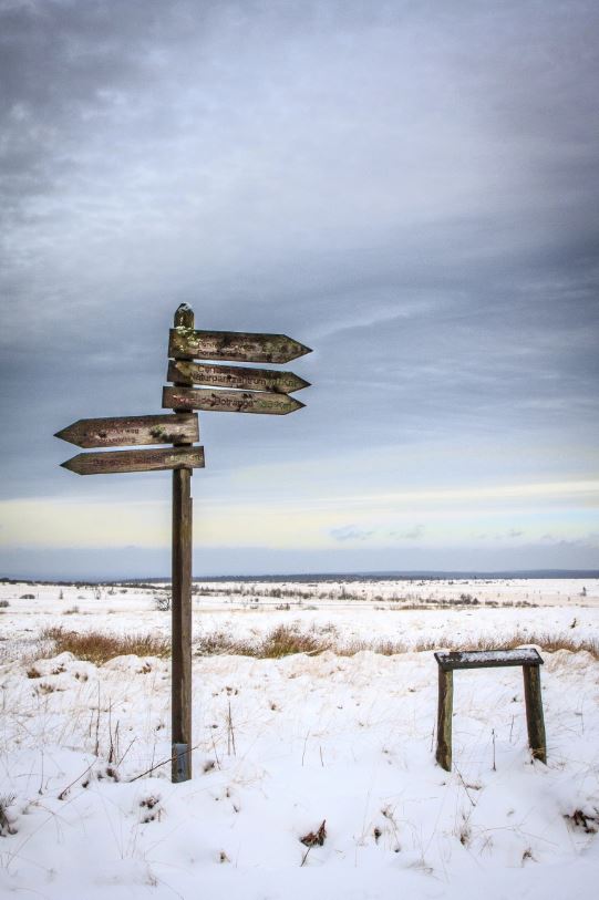 Wegwijzers in het rouwlandschap – Groepspraktijk De puzzel